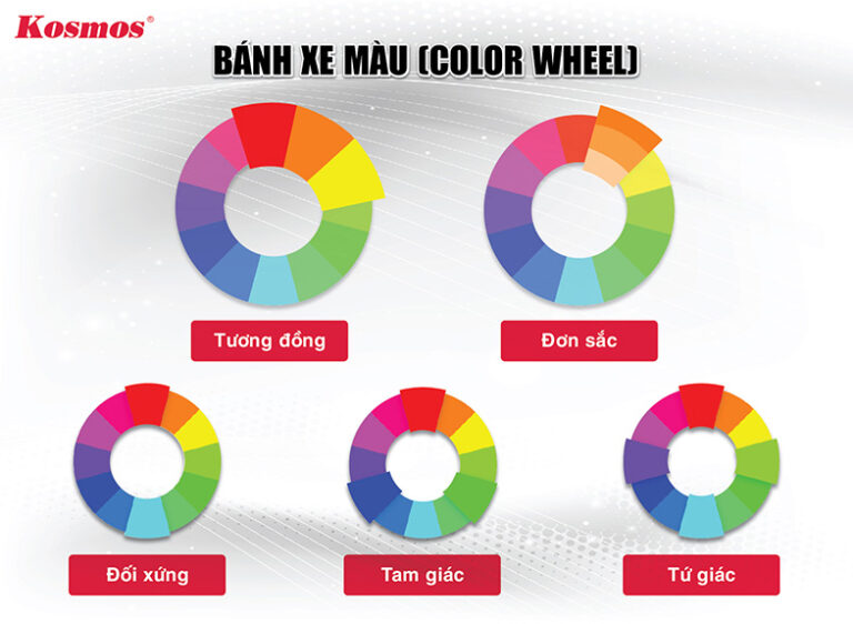 Sàn gỗ sơn tường màu gì? Áp dụng nguyên tắc phối màu 2026